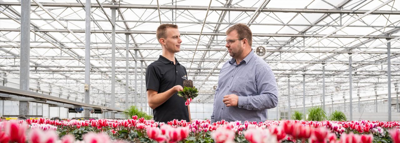 Home page - Gramoflor